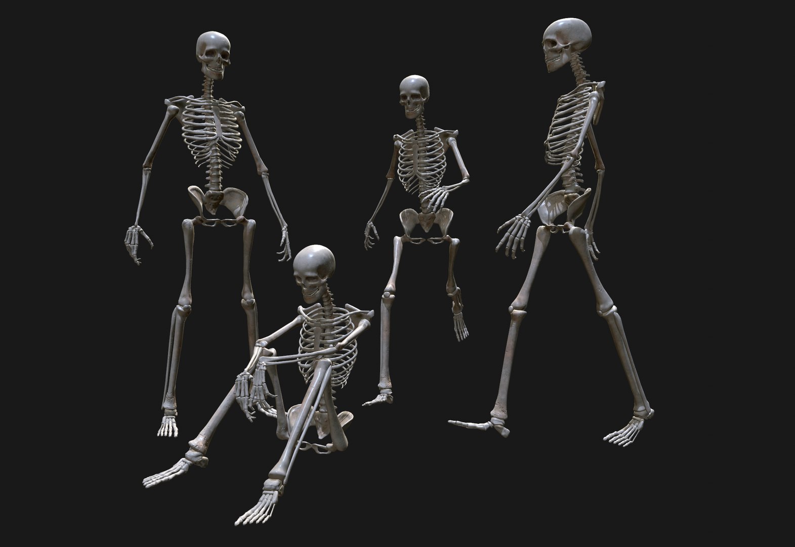 3D Human Skeleton - TurboSquid 1628644