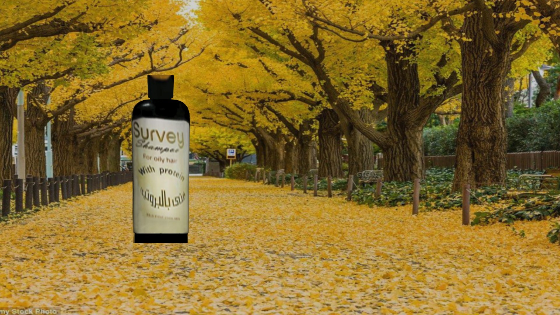 Shampoo Model - TurboSquid 2198329