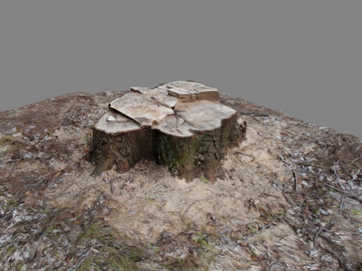 3d Tree Stump Model