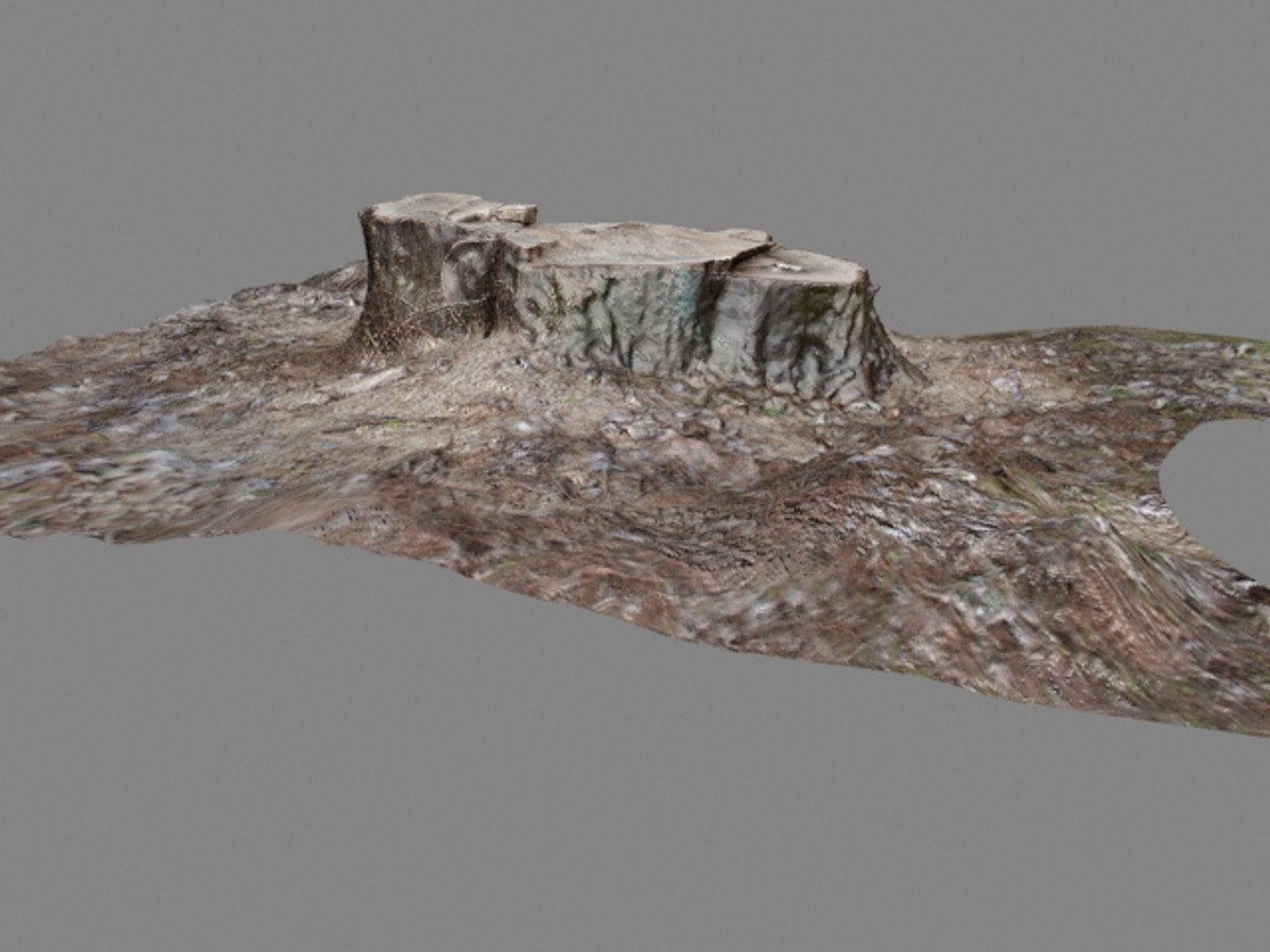3d Tree Stump Model