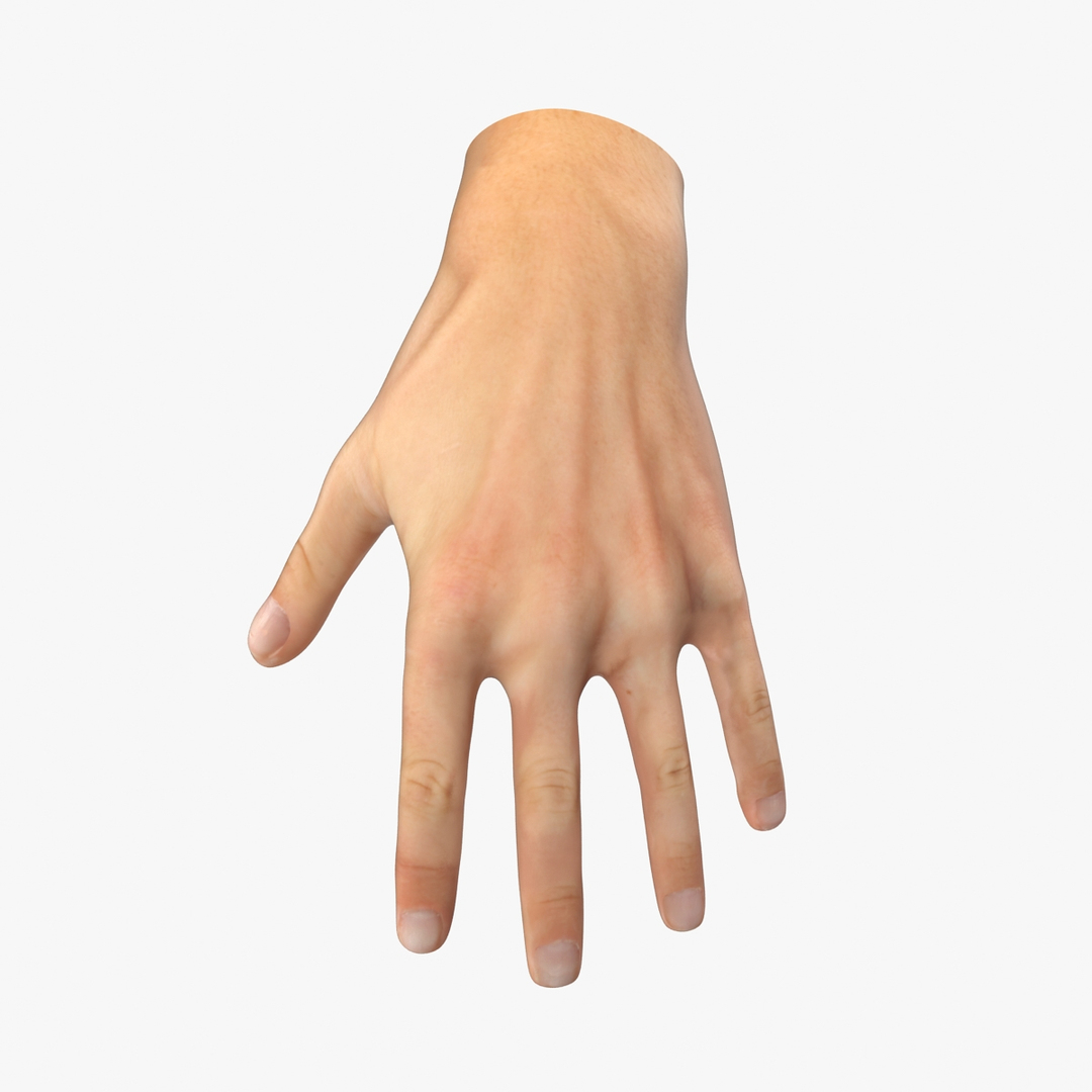 Hand Skin Type 1 3ds