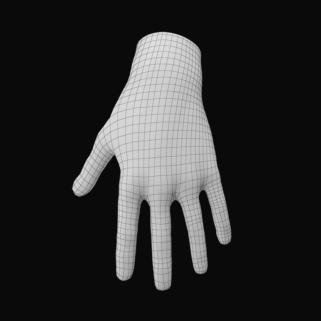 Hand Skin Type 1 3ds