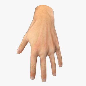 3d Hand Rigged Poses Skin