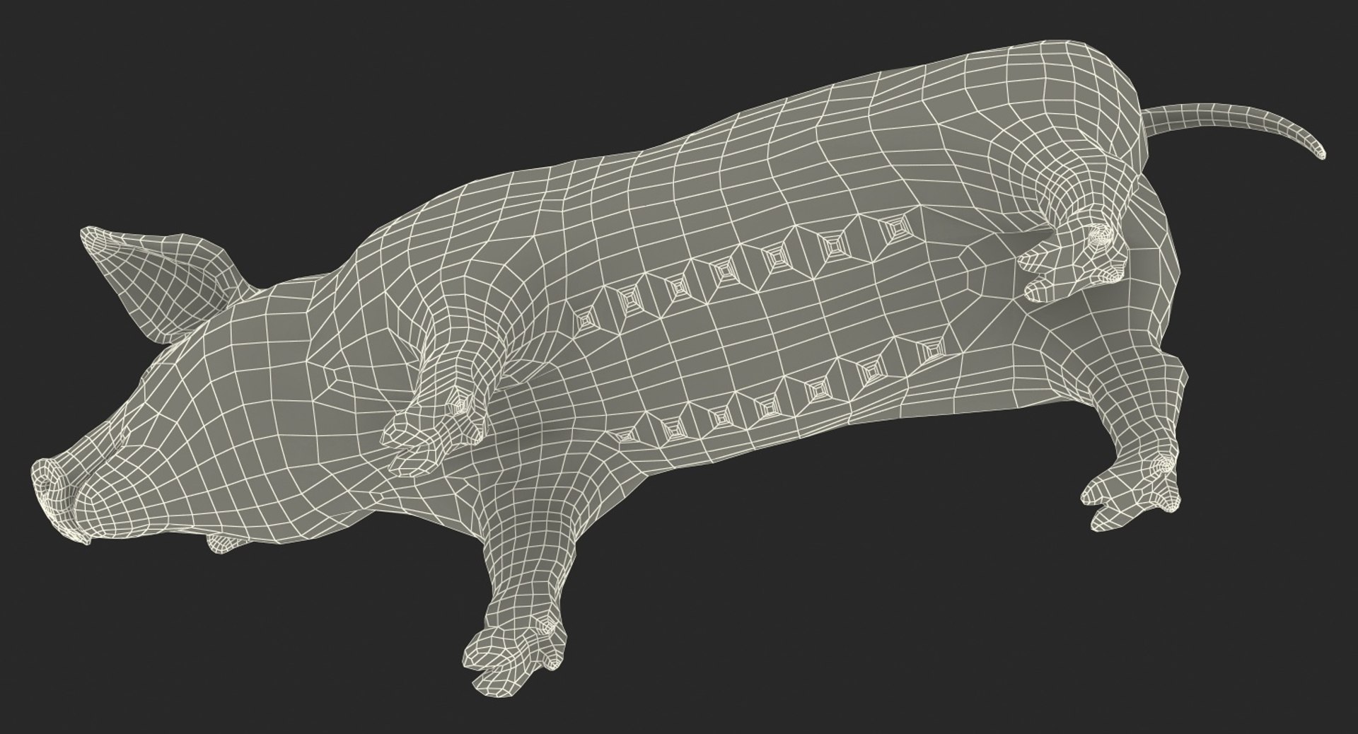 Hampshire Pig Piglet Rigged 3D - TurboSquid 1359052