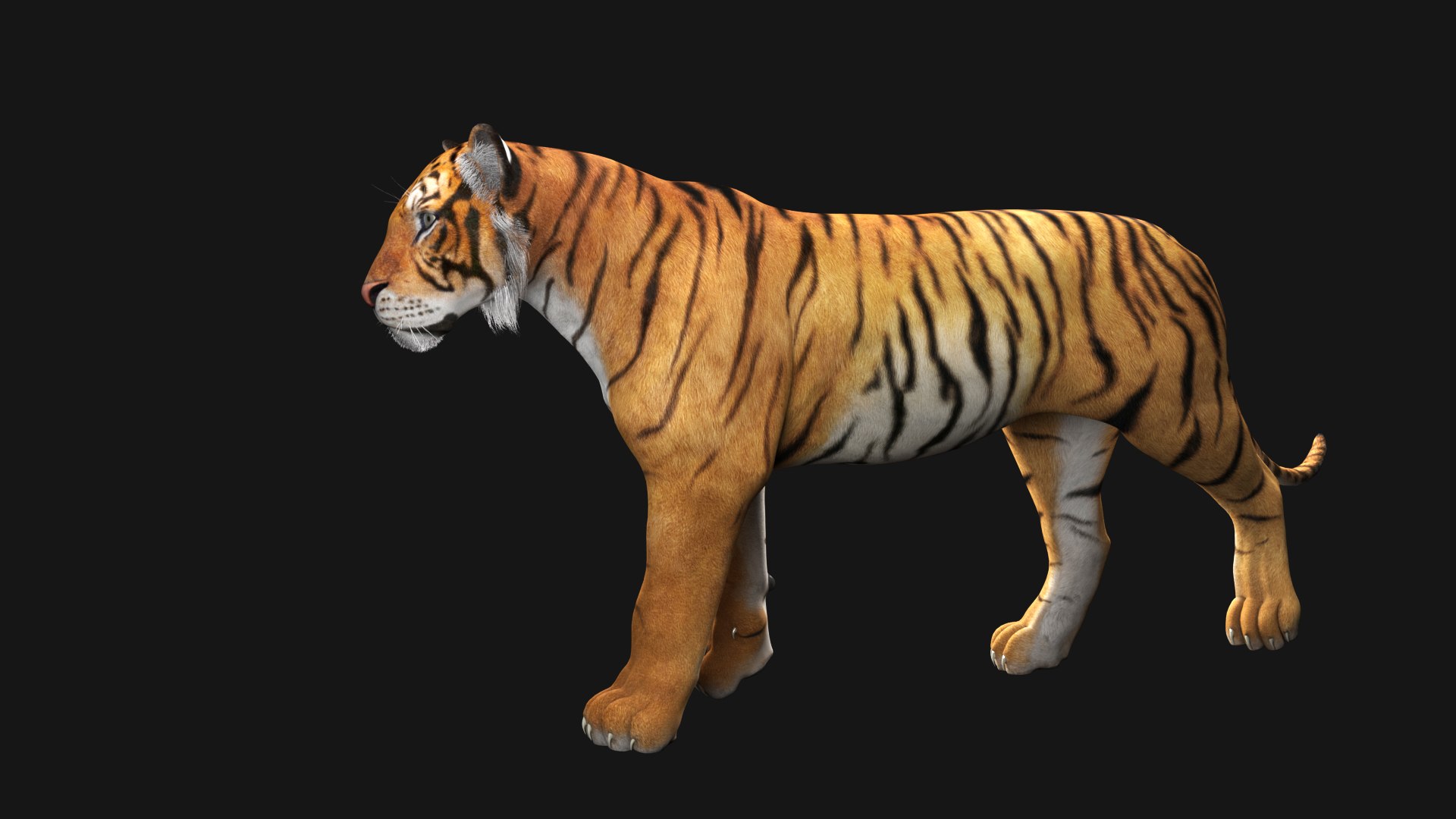 3D Model Bengal Tiger ANIMATED XGEN 3D Model 2 - TurboSquid 1886593