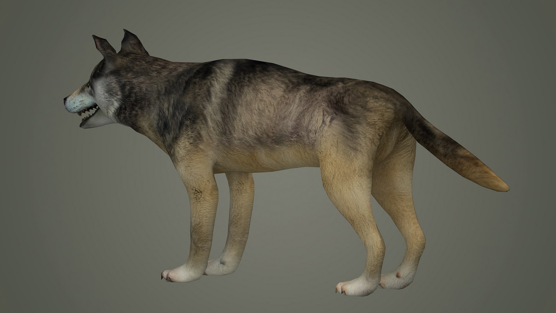 3D Wolf Animal Low Poly Fur Black Arctic American Mammal Model ...