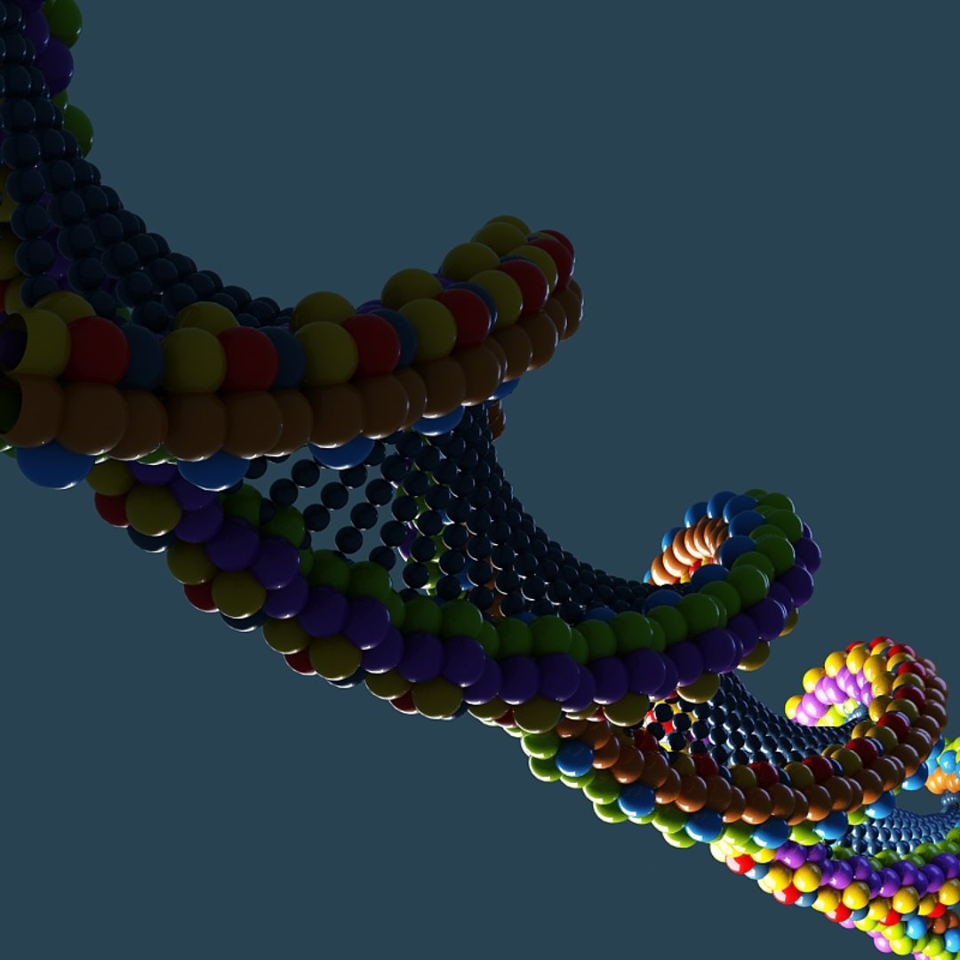 Dna 3d Model