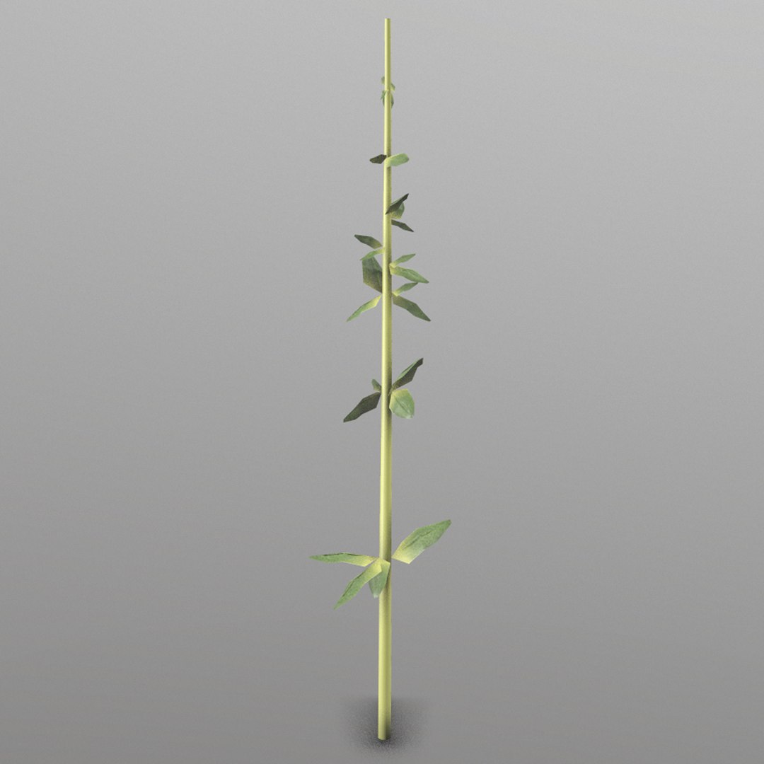 Thyme Ready Games 3D Model - TurboSquid 1289451