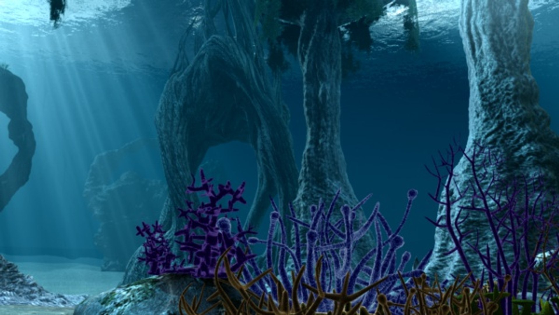 Underwater Water 3d Model