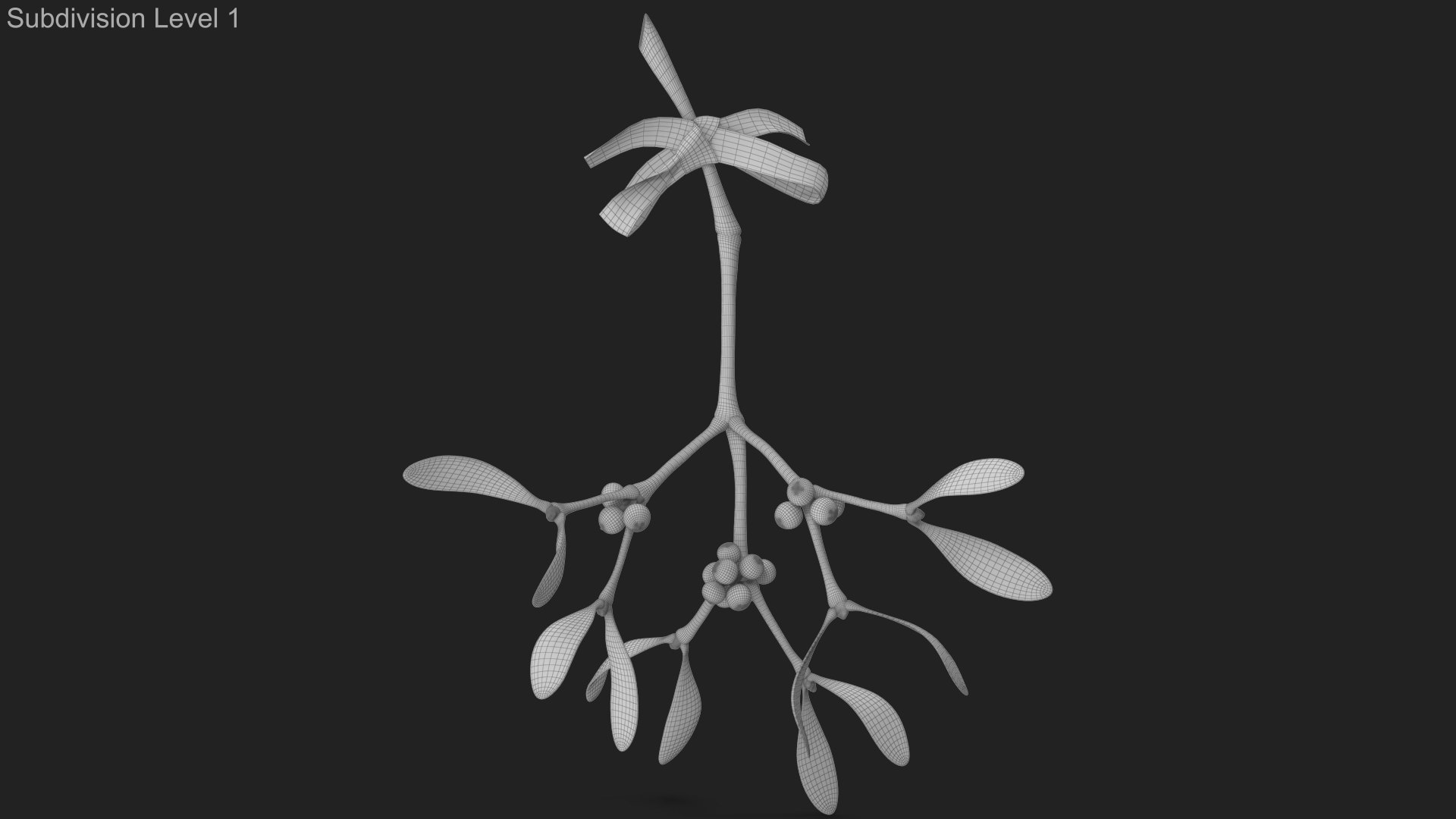Mistletoe 1 With White Bow 2 3D - TurboSquid 1807381