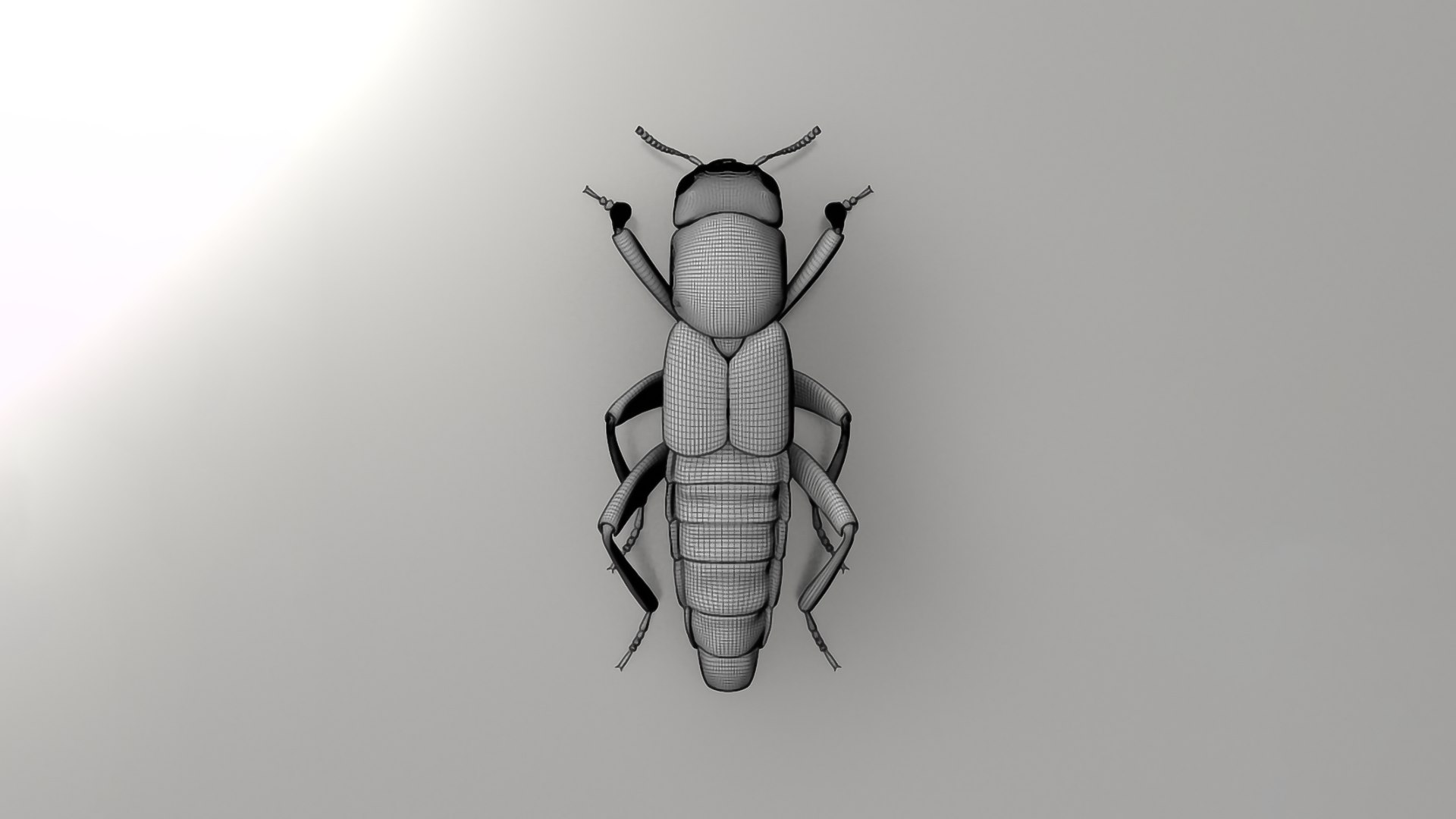 3D Realistic Insects Pack - Volume 02 Model - TurboSquid 2377037