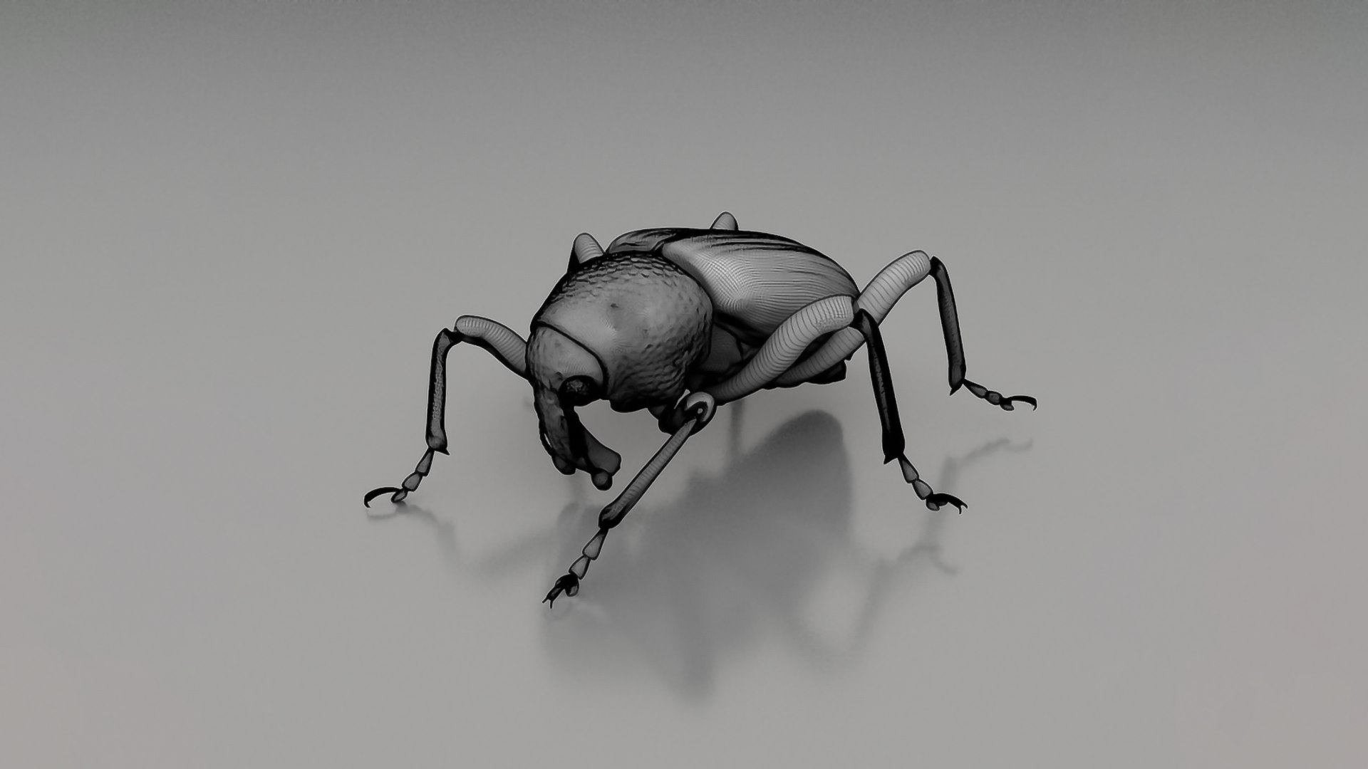 3D Realistic Insects Pack - Volume 02 Model - TurboSquid 2377037