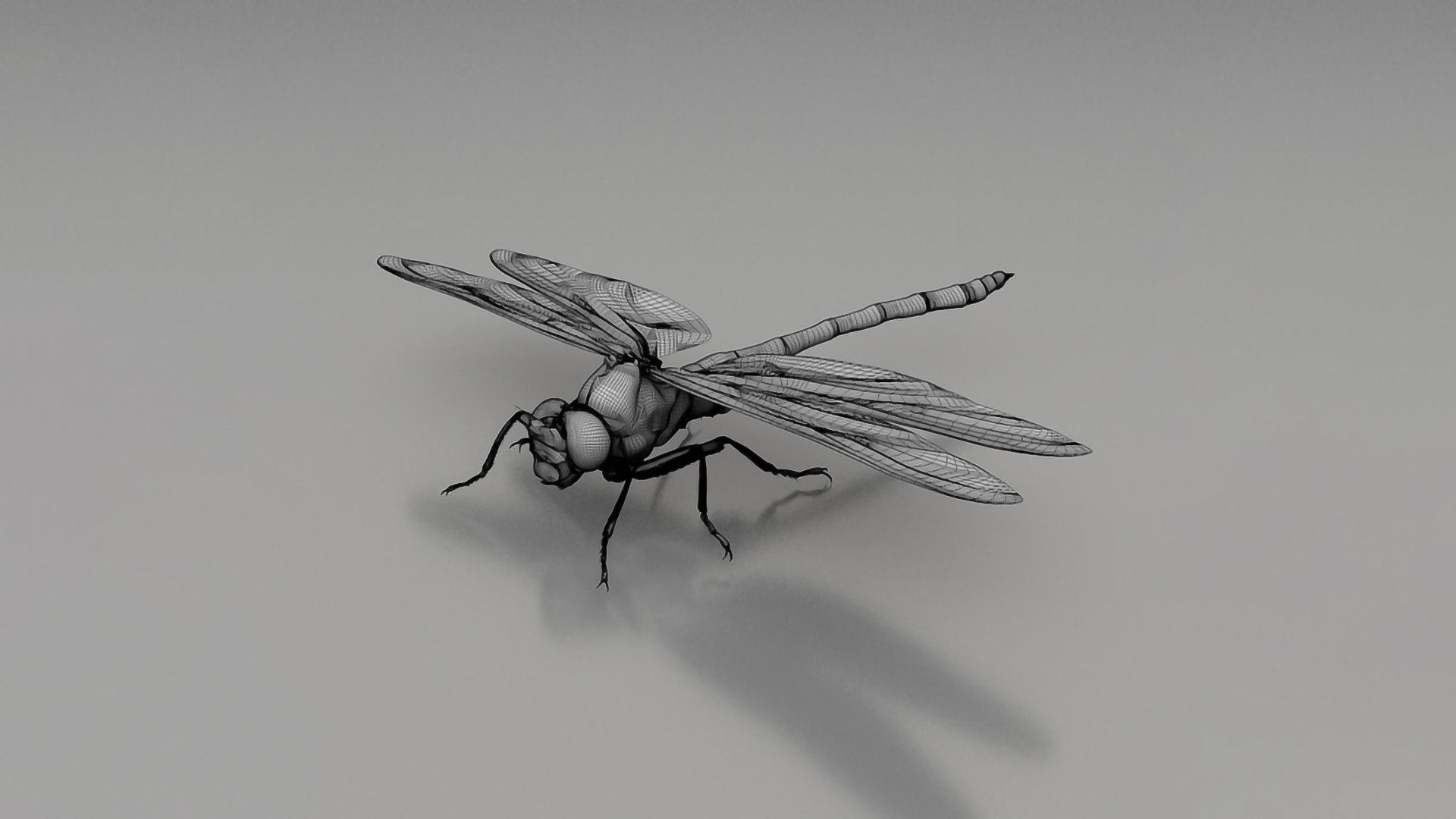 3D Realistic Insects Pack - Volume 02 Model - TurboSquid 2377037