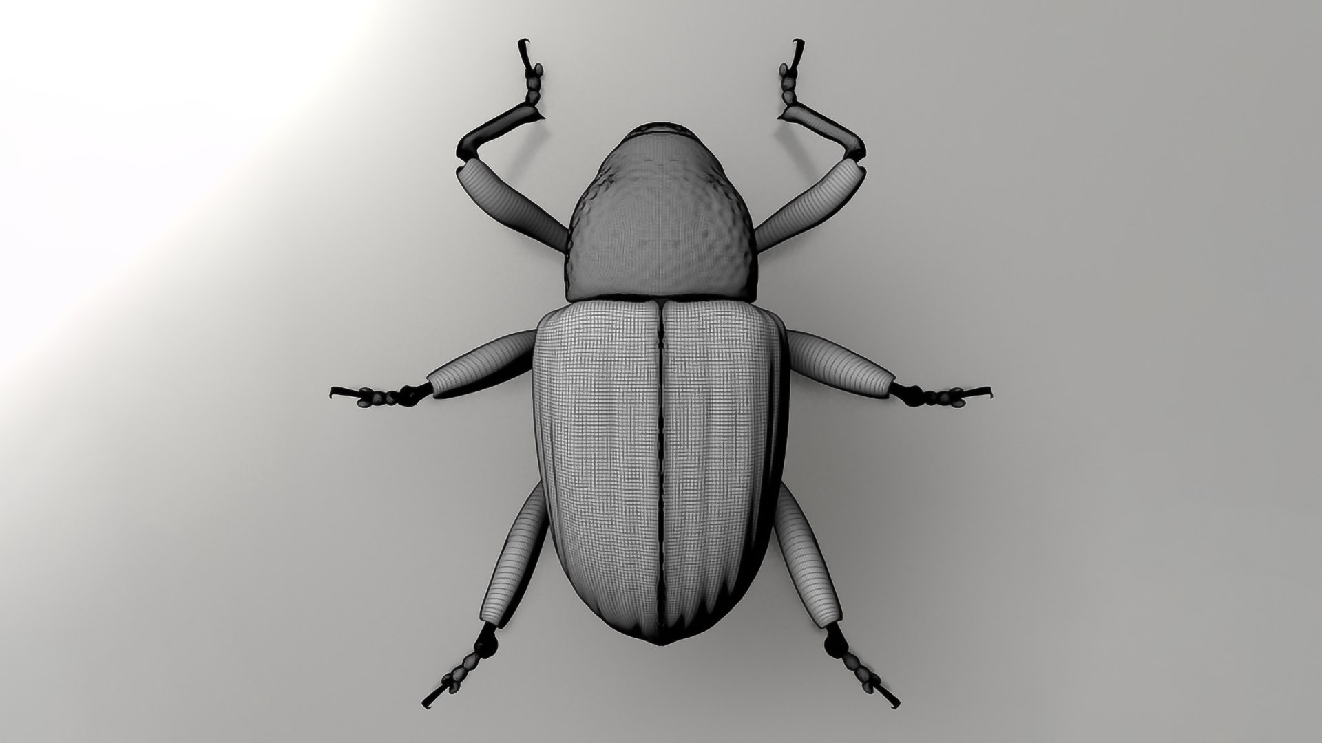 3D Realistic Insects Pack - Volume 02 Model - TurboSquid 2377037
