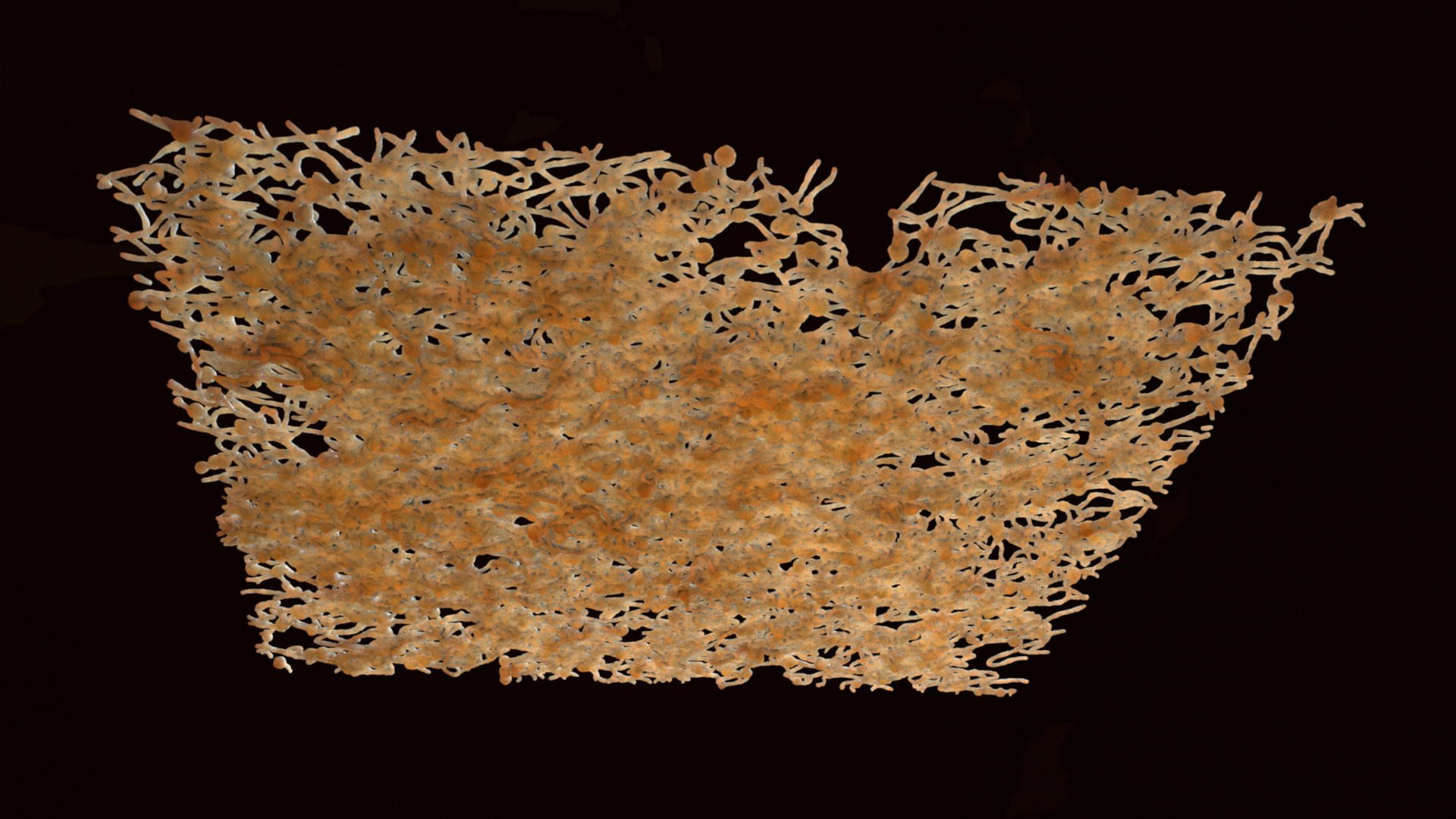 3d Model Of Organic Fibrous Tissue