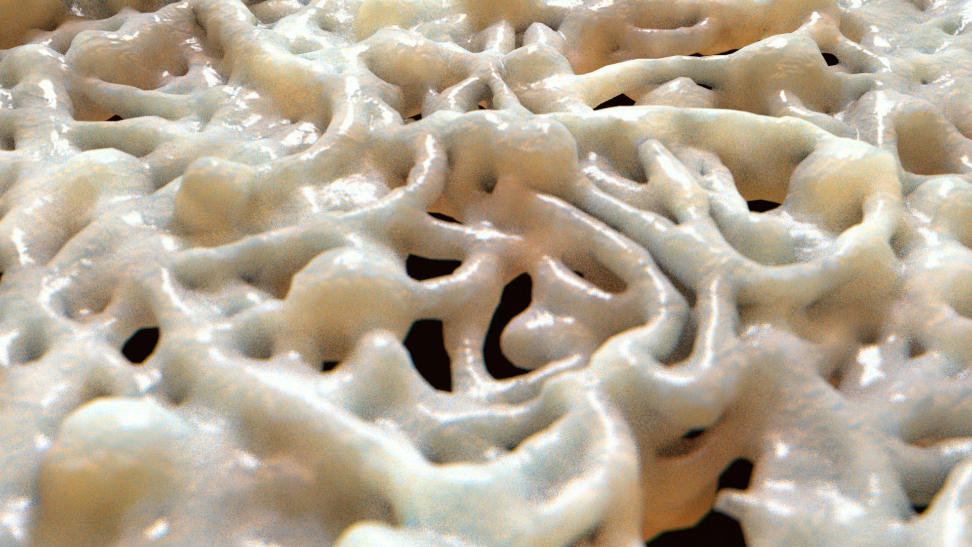 3d Model Of Organic Fibrous Tissue