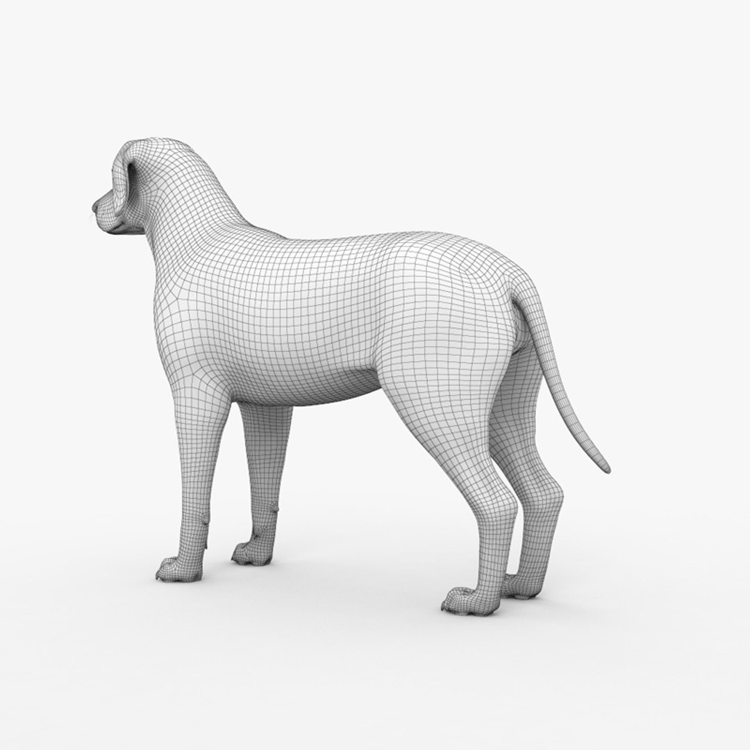 Golden Retriever HD Model - TurboSquid 1782720