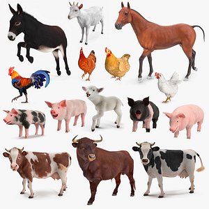 Low Poly Rooster 3D Models For Download | TurboSquid