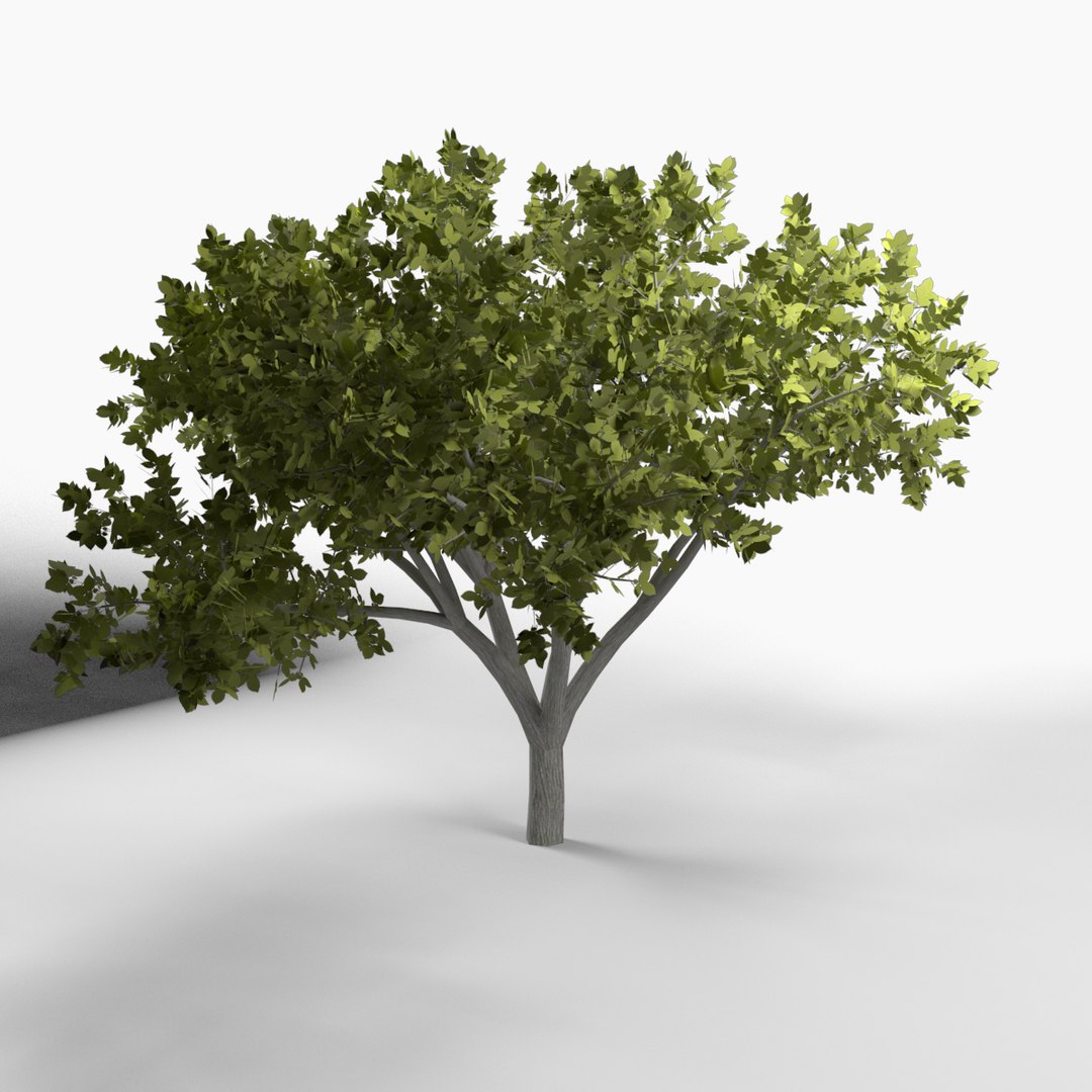 tree 3d max