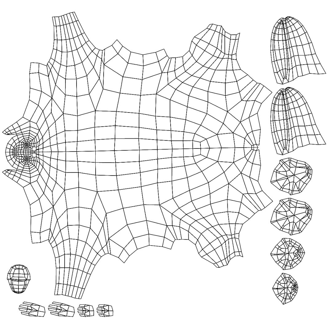 Wild Rabbit Base Mesh 3d C4d