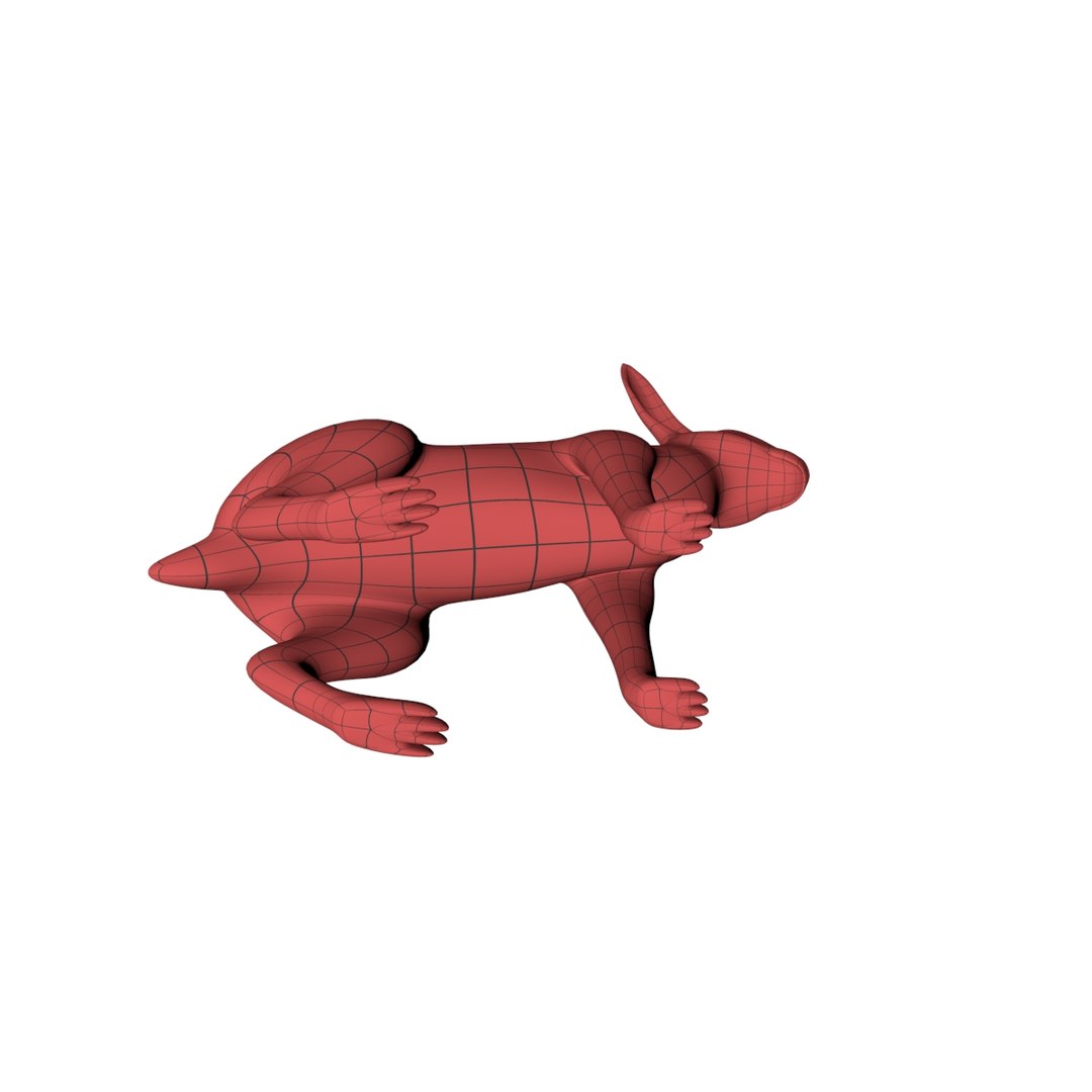 Wild Rabbit Base Mesh 3d C4d