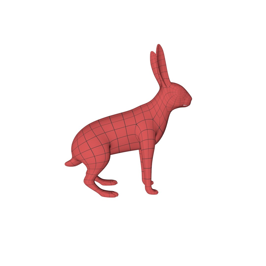 Wild Rabbit Base Mesh 3d C4d