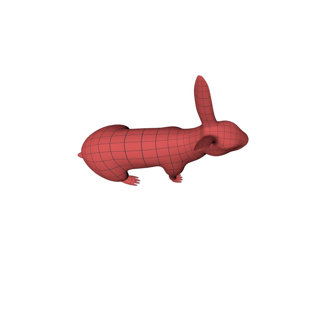 Wild Rabbit Base Mesh 3d C4d