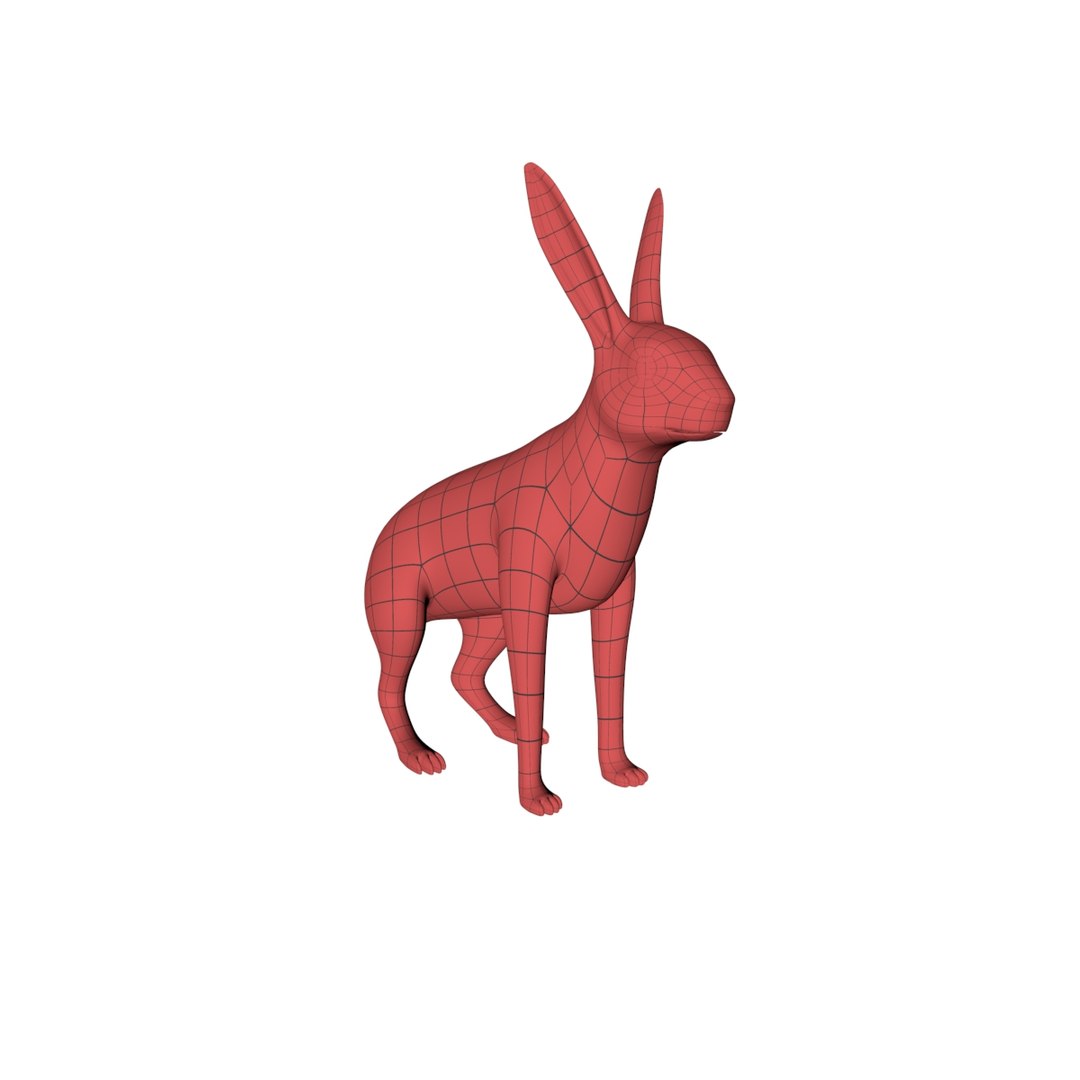 Wild Rabbit Base Mesh 3d C4d