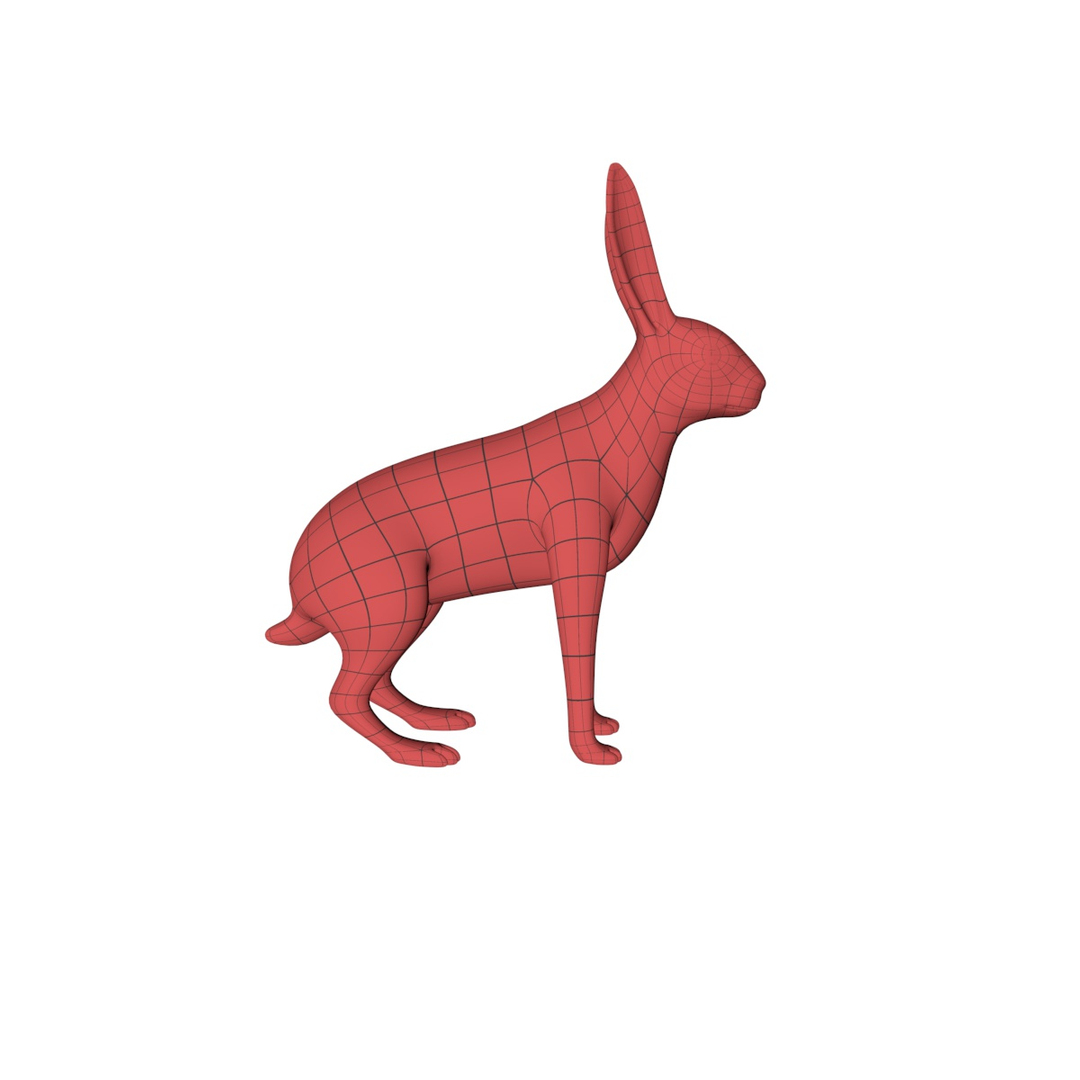 Wild Rabbit Base Mesh 3d C4d