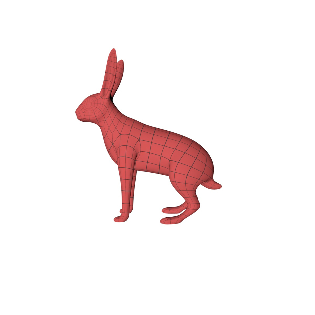 wild rabbit base mesh 3d c4d
