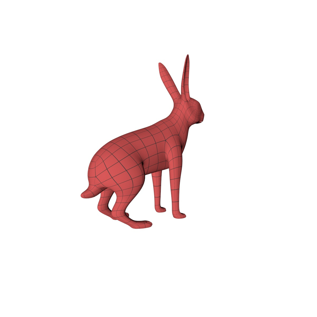 wild rabbit base mesh 3d c4d