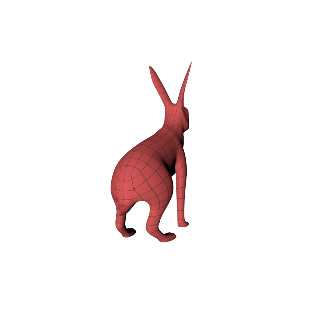 wild rabbit base mesh 3d c4d
