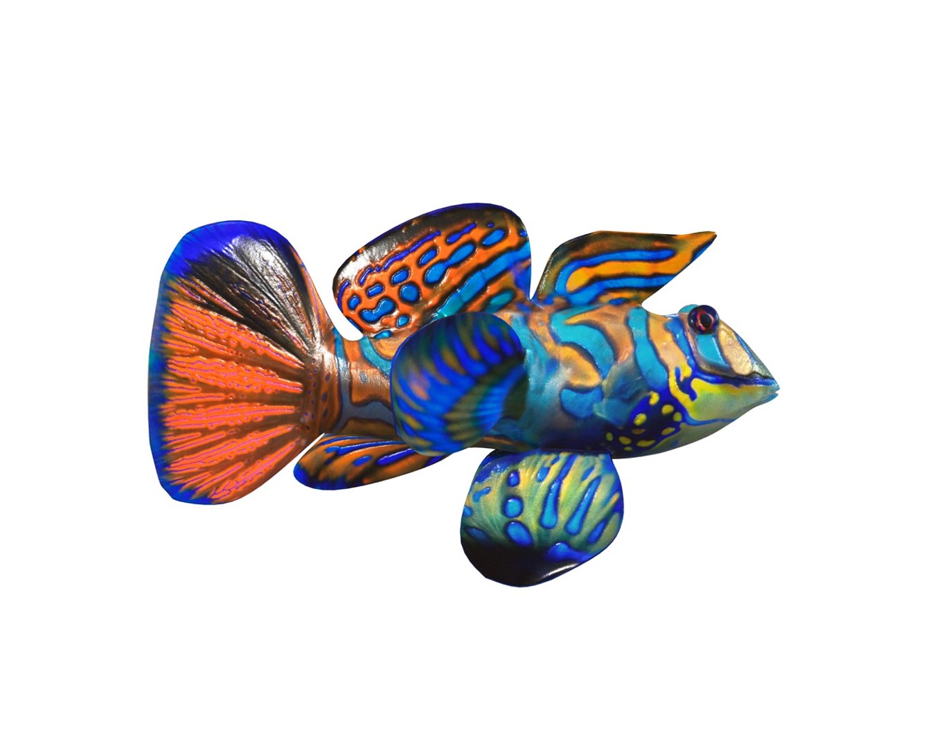 Fish Aquarium 3D - TurboSquid 1551141