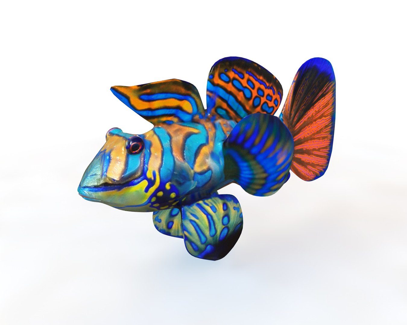 Fish Aquarium 3D - TurboSquid 1551141