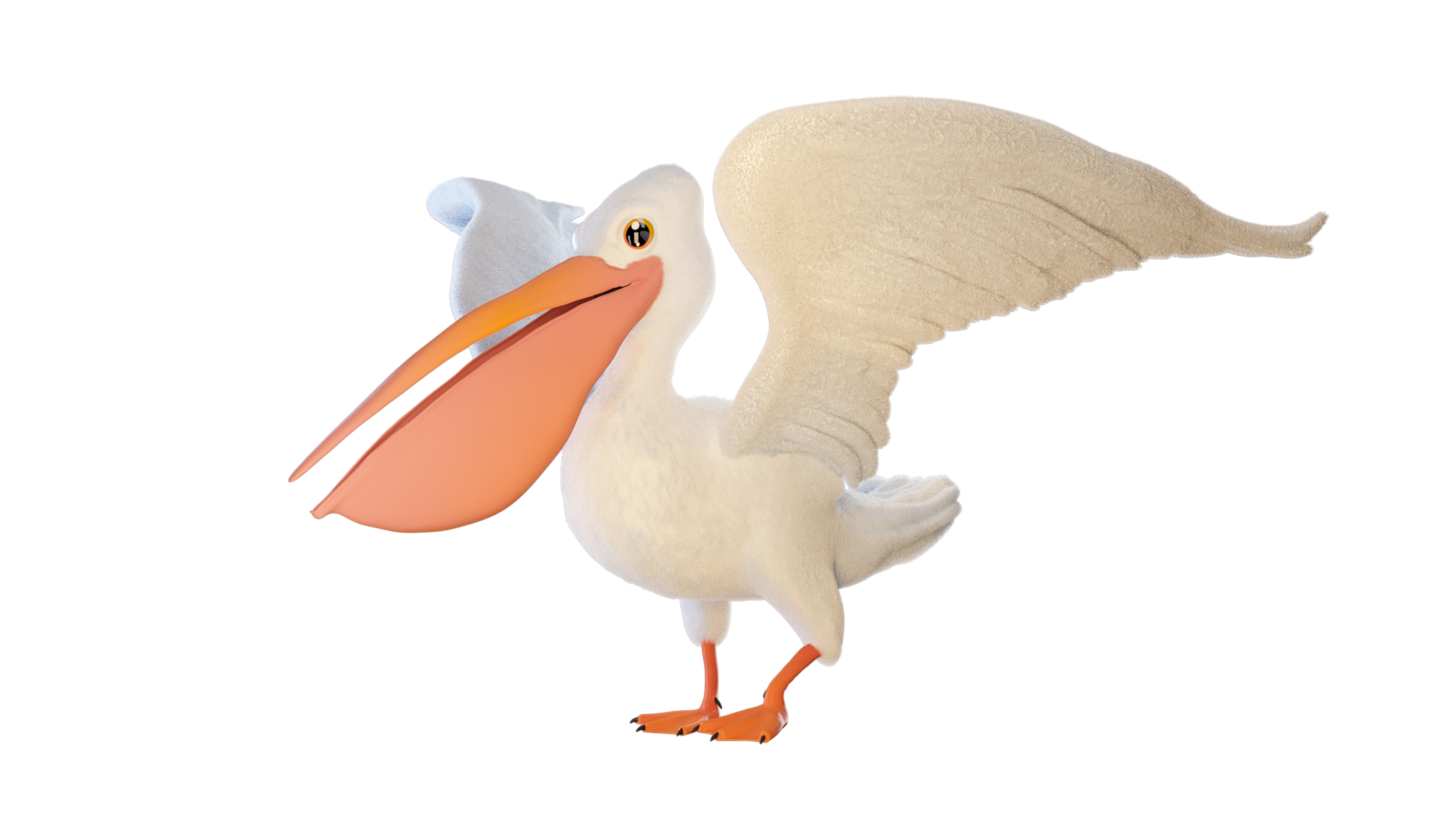 Pelican 3D model - TurboSquid 1891602