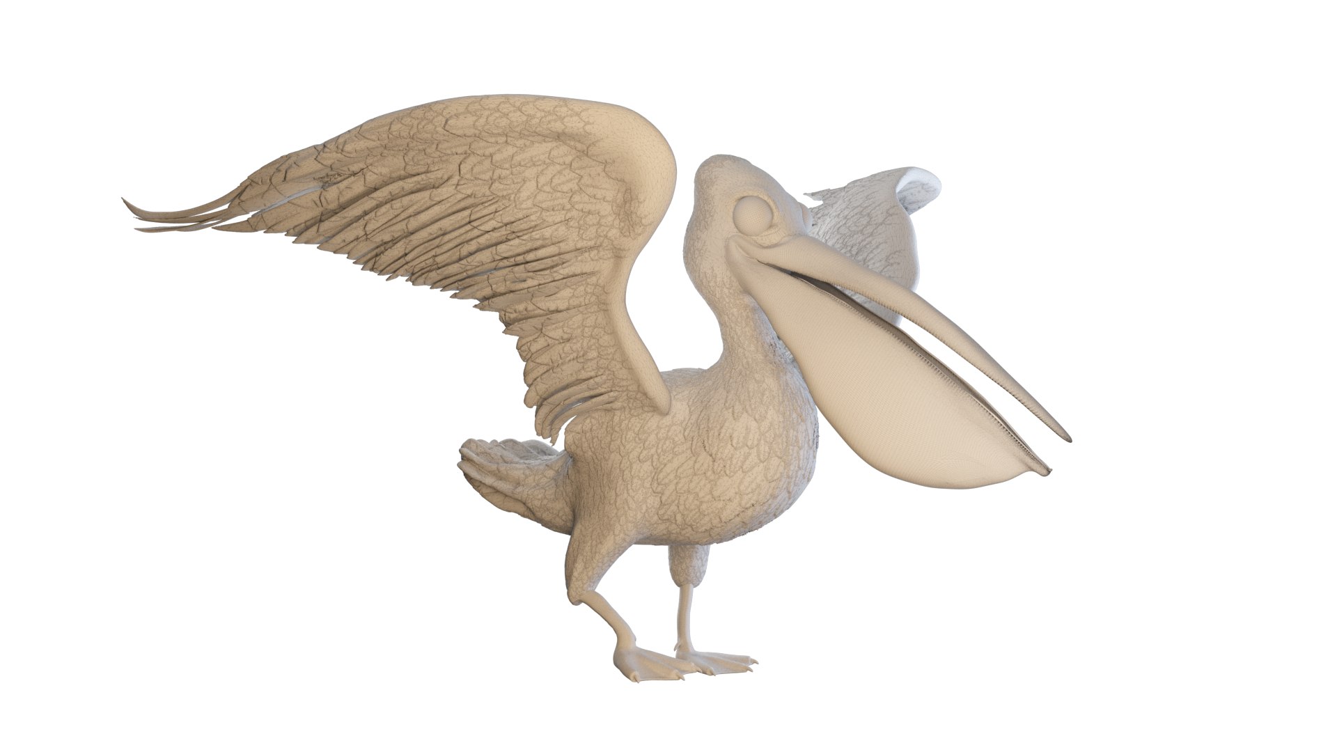 Pelican 3D Model - TurboSquid 1891602