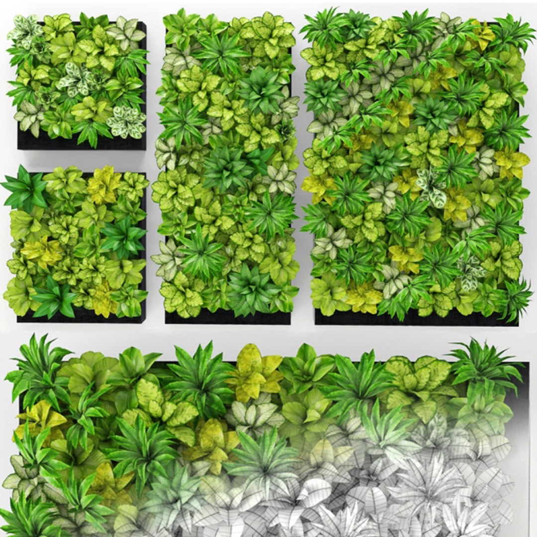 Green 3D - TurboSquid 1254408