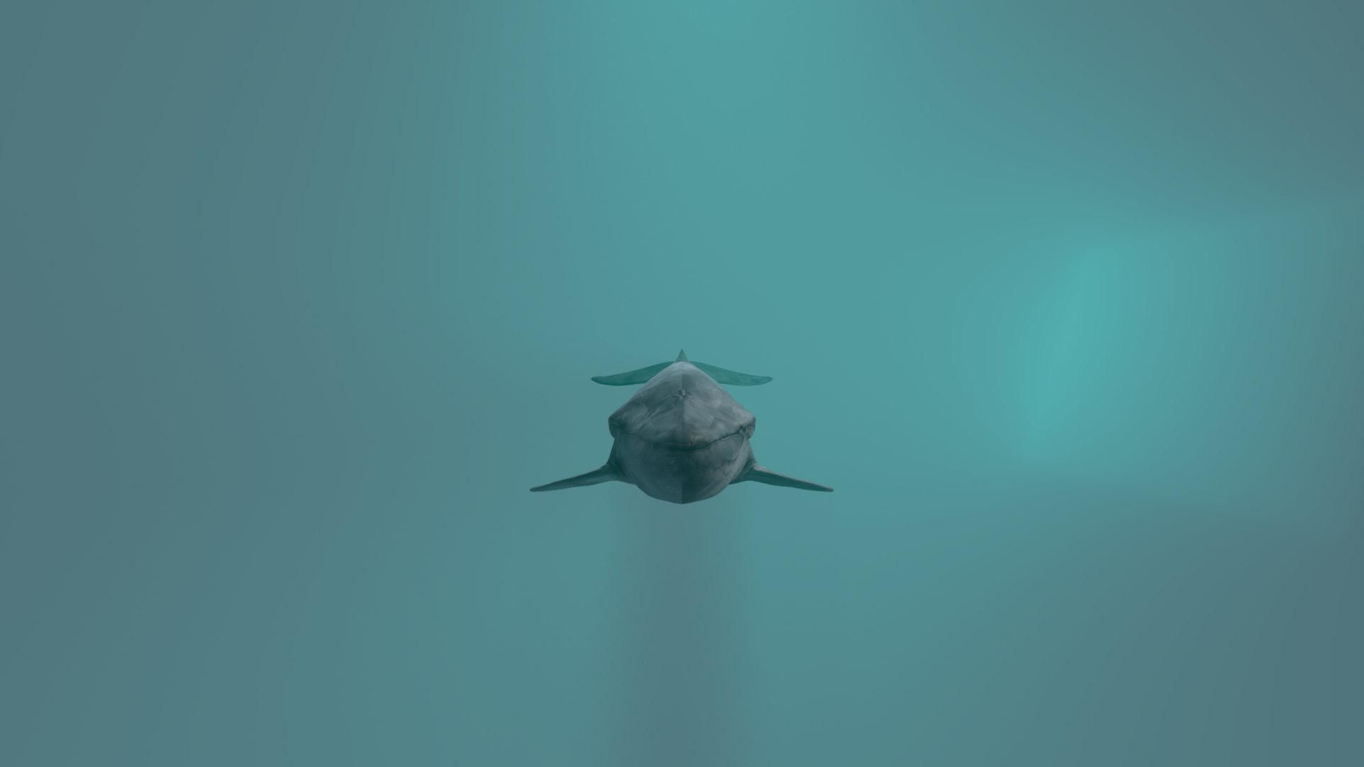 3D realistic blue whale animation model - TurboSquid 1613336