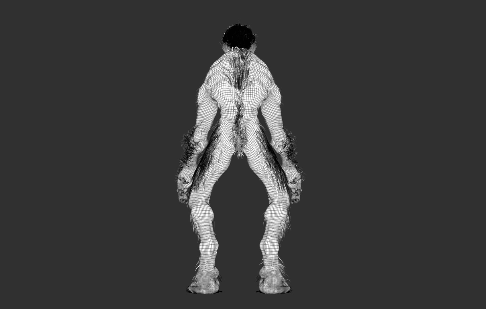 3d Animations Model 