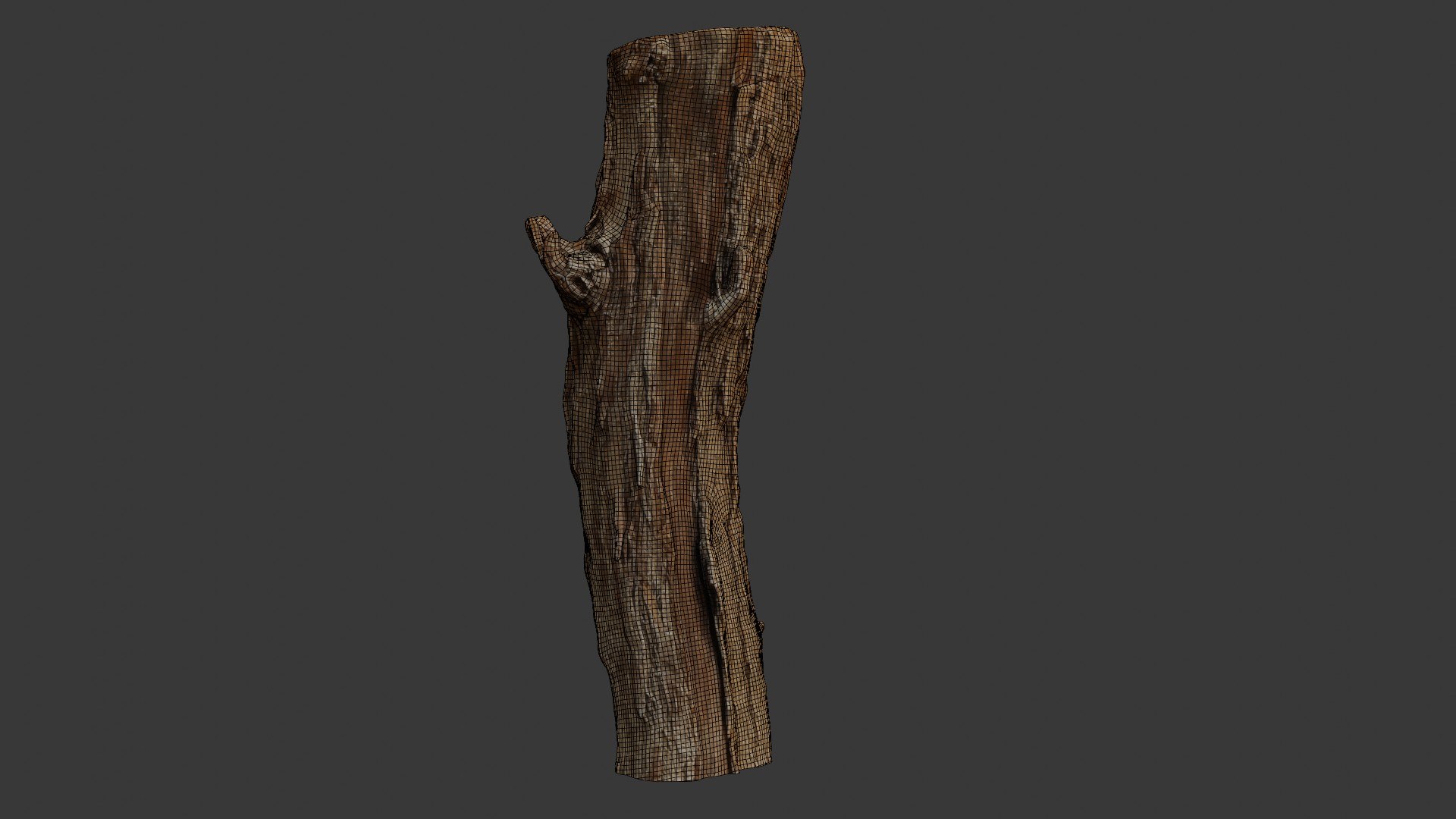 3D Model Tree Trunk 3D Scan - TurboSquid 2404855