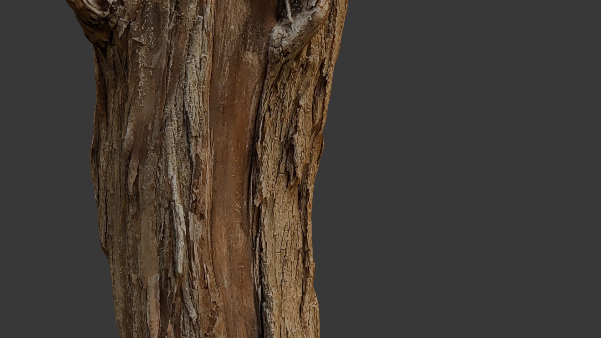 3D Model Tree Trunk 3D Scan - TurboSquid 2404855
