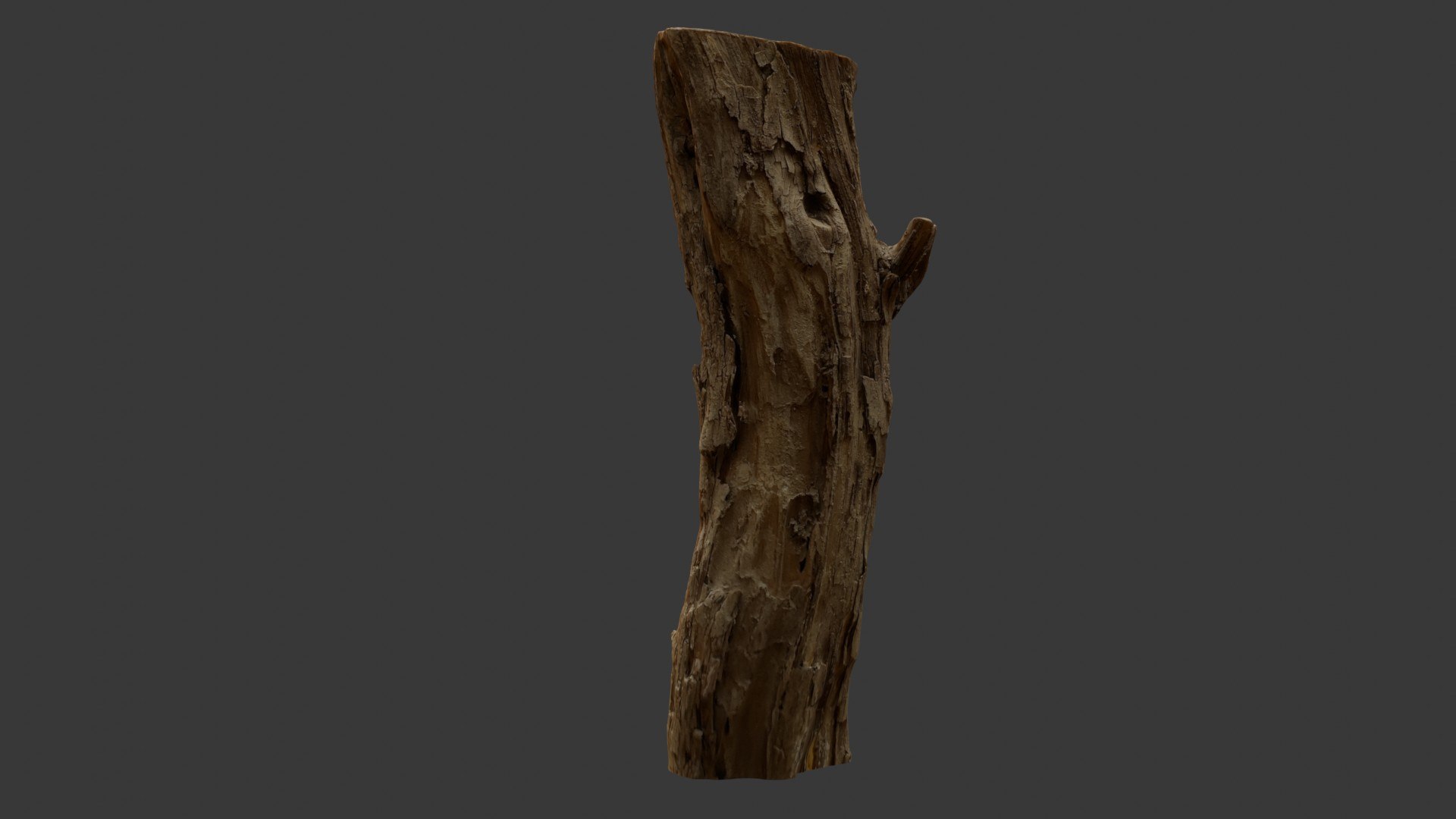 3D Model Tree Trunk 3D Scan - TurboSquid 2404855