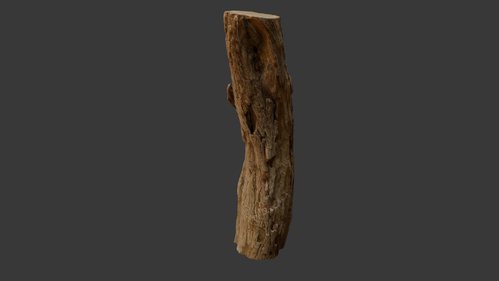 3D Model Tree Trunk 3D Scan - TurboSquid 2404855