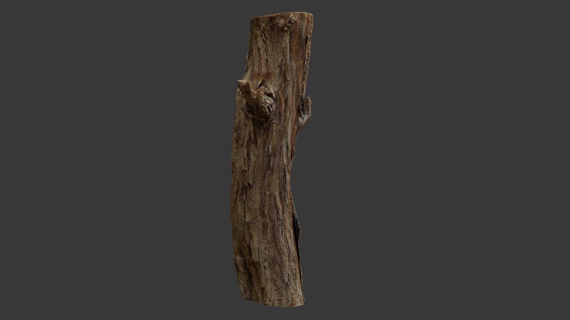 3D Model Tree Trunk 3D Scan - TurboSquid 2404855