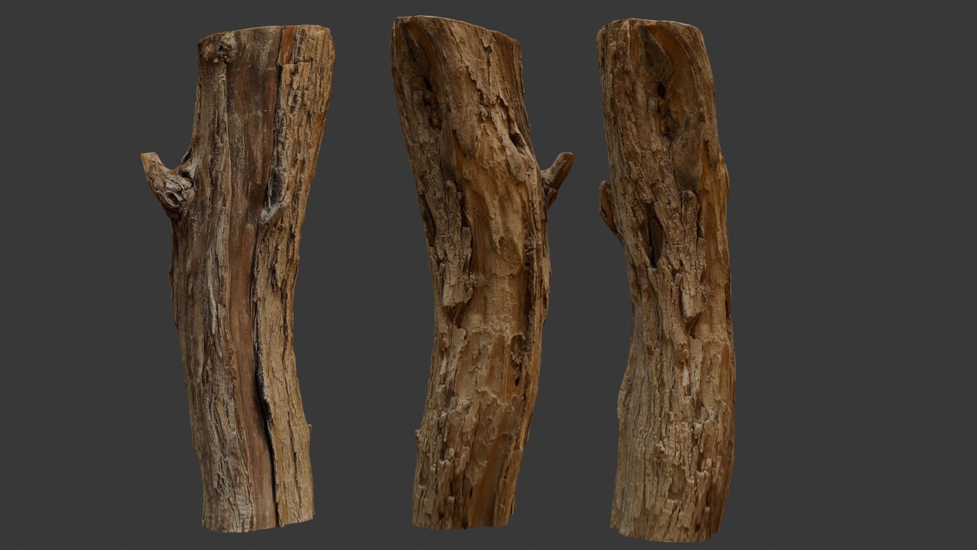 3D Model Tree Trunk 3D Scan - TurboSquid 2404855