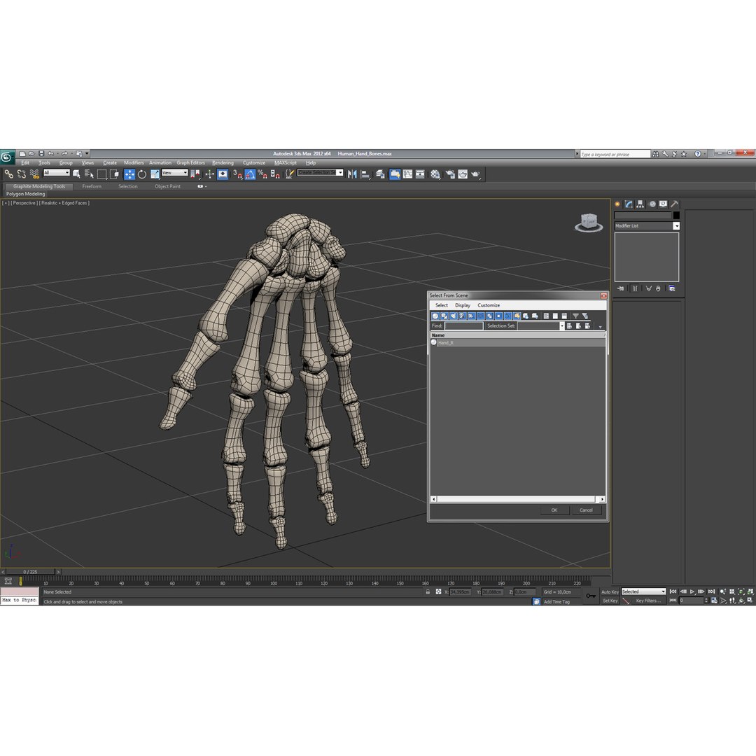 3d Model Human Hand Bones