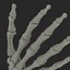 3d Model Human Hand Bones