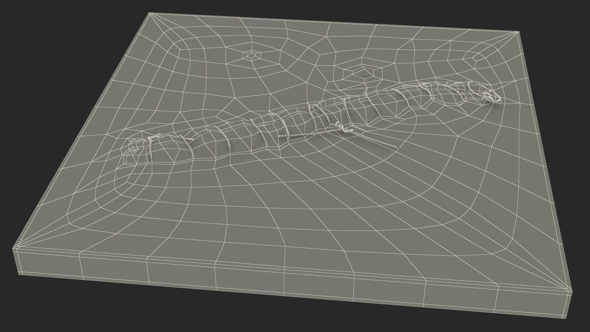 3D model Skin with Medical Seam Open - TurboSquid 2161372