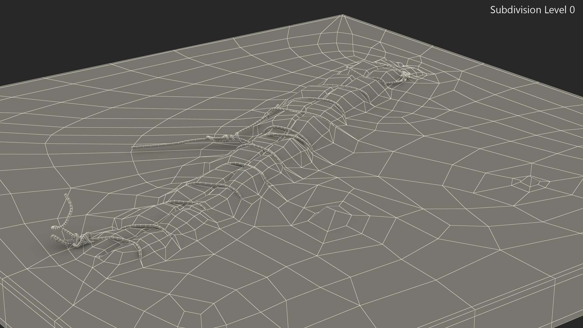 3D model Skin with Medical Seam Open - TurboSquid 2161372