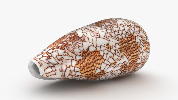 modelo 3d Cono textil - TurboSquid 2044065